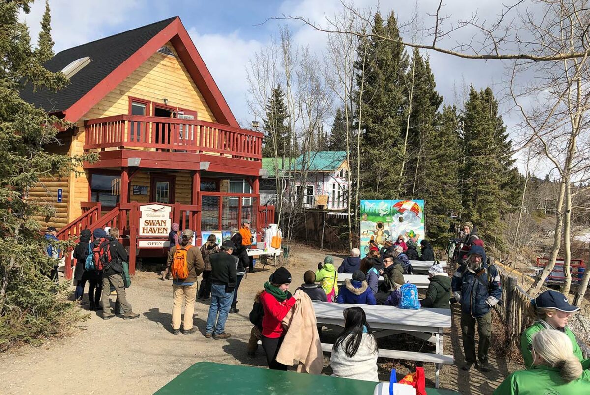 Spring sparks inspiration in 2024 | Yukon Arts Centre