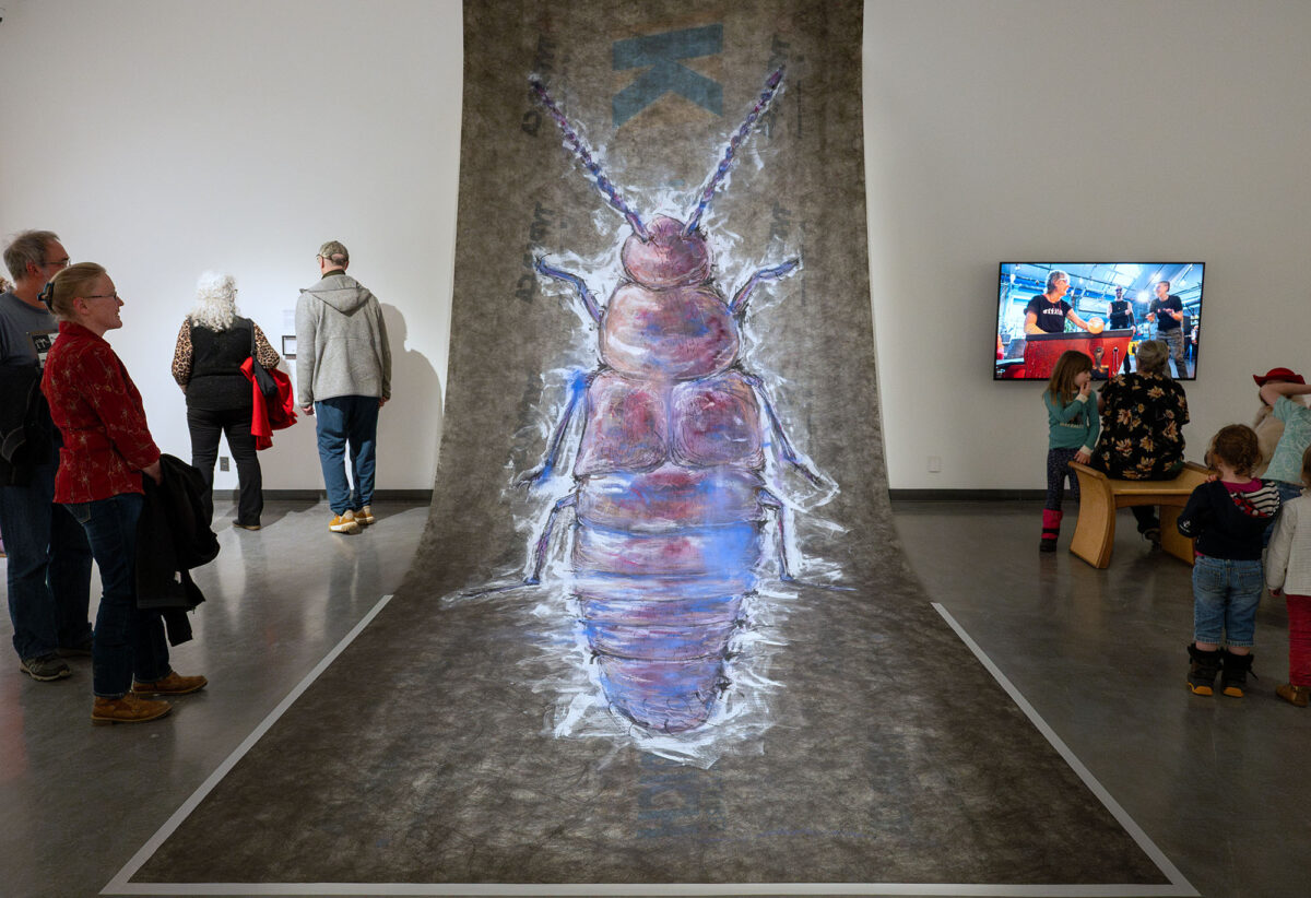 Art Exhibits Opening | Yukon Arts Centre