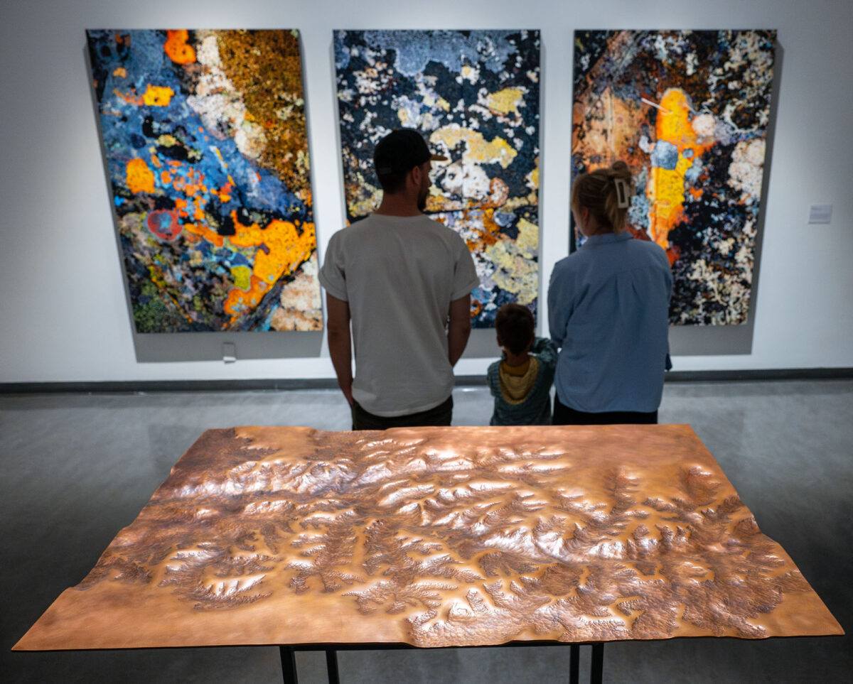 Art Opening | Yukon Arts Centre